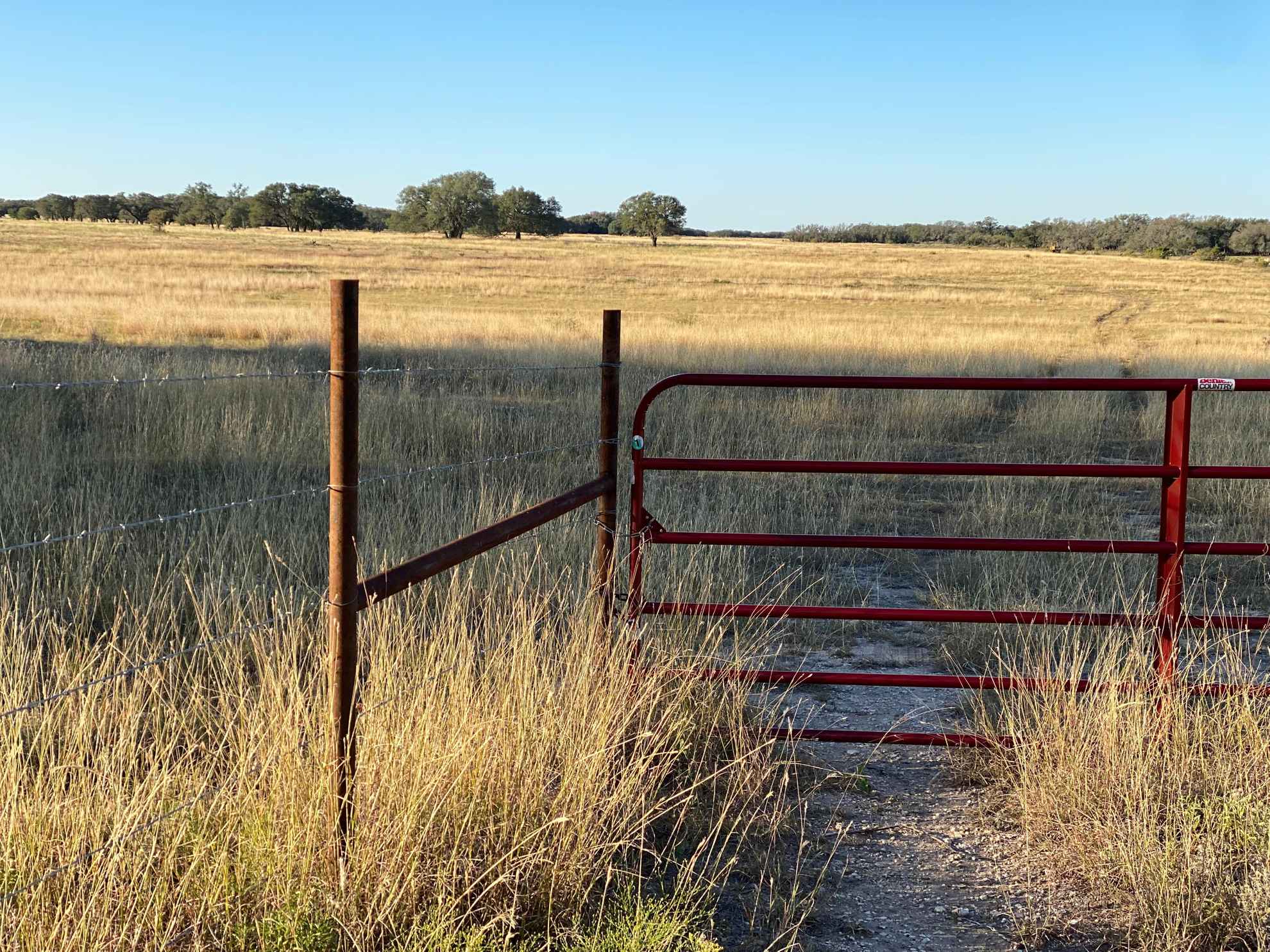 Twelve Oak Ranch 10 Acres Tract 1 - Texas Ranches for Sale - Texas ...