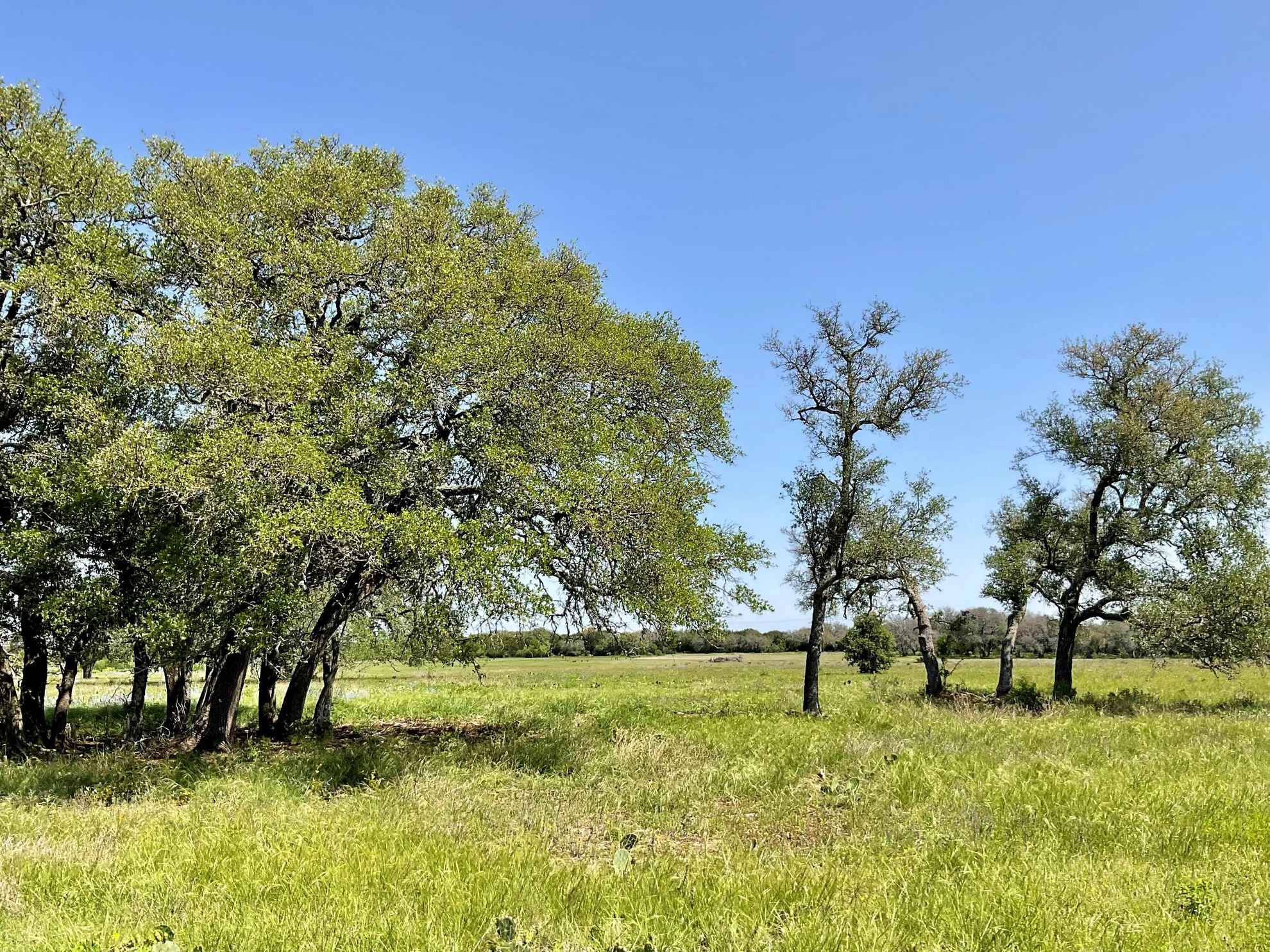 The 140 Ranch - Texas Ranches for Sale - Texas Ranch Brokers