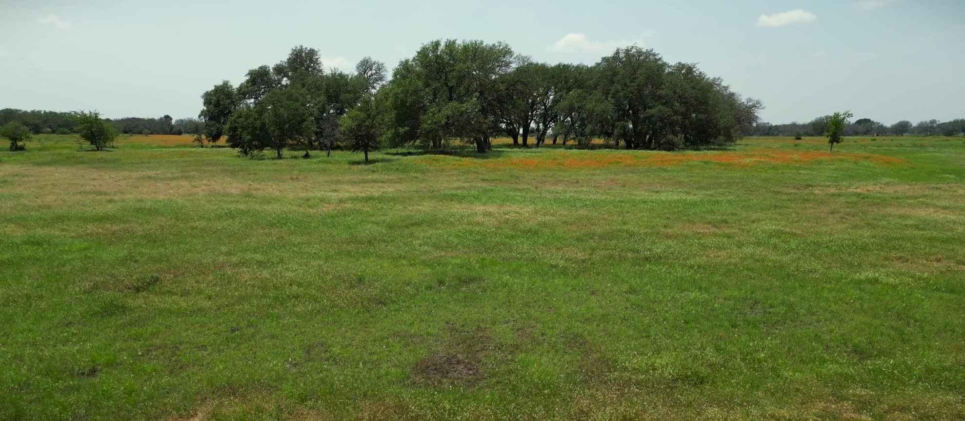 SOUTHWINDS RANCH 100 ACRES - Texas Ranches for Sale - Texas Ranch Brokers