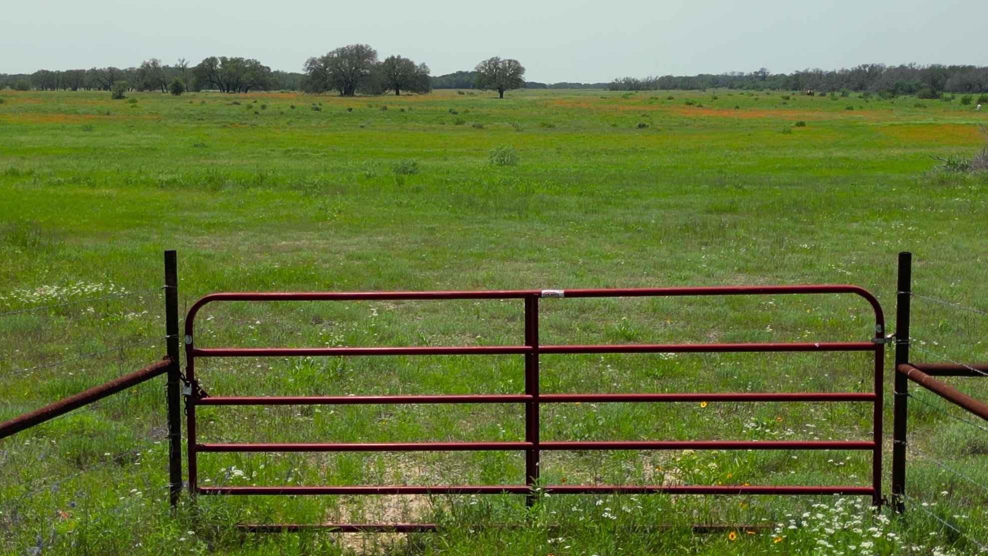 SOUTHWINDS RANCH TRACT 2 - Texas Ranches for Sale - Texas Ranch Brokers